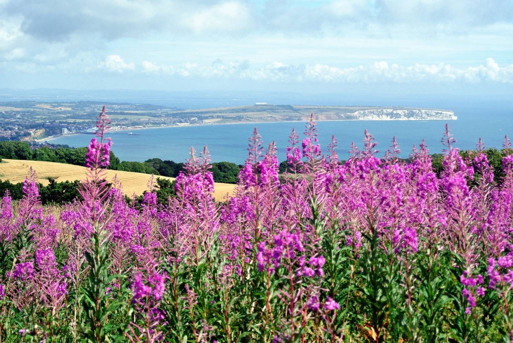 NEW NAME FOR ISLE OF WIGHT'S AREA OF OUTSTANDING NATURAL BEAUTY ...
