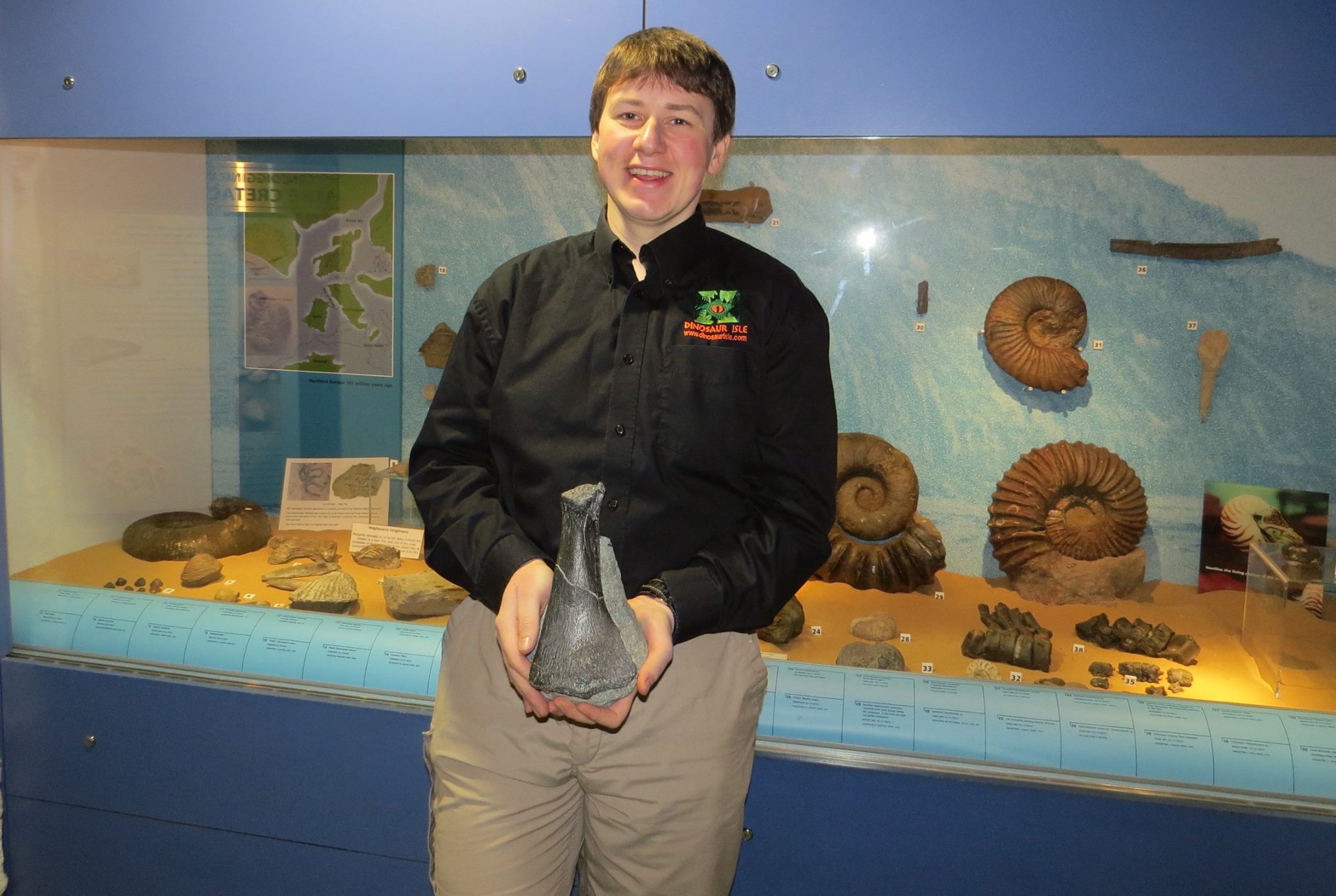 RARE MARINE REPTILE FOSSIL FOUND - Isle of Wight News - Island Echo