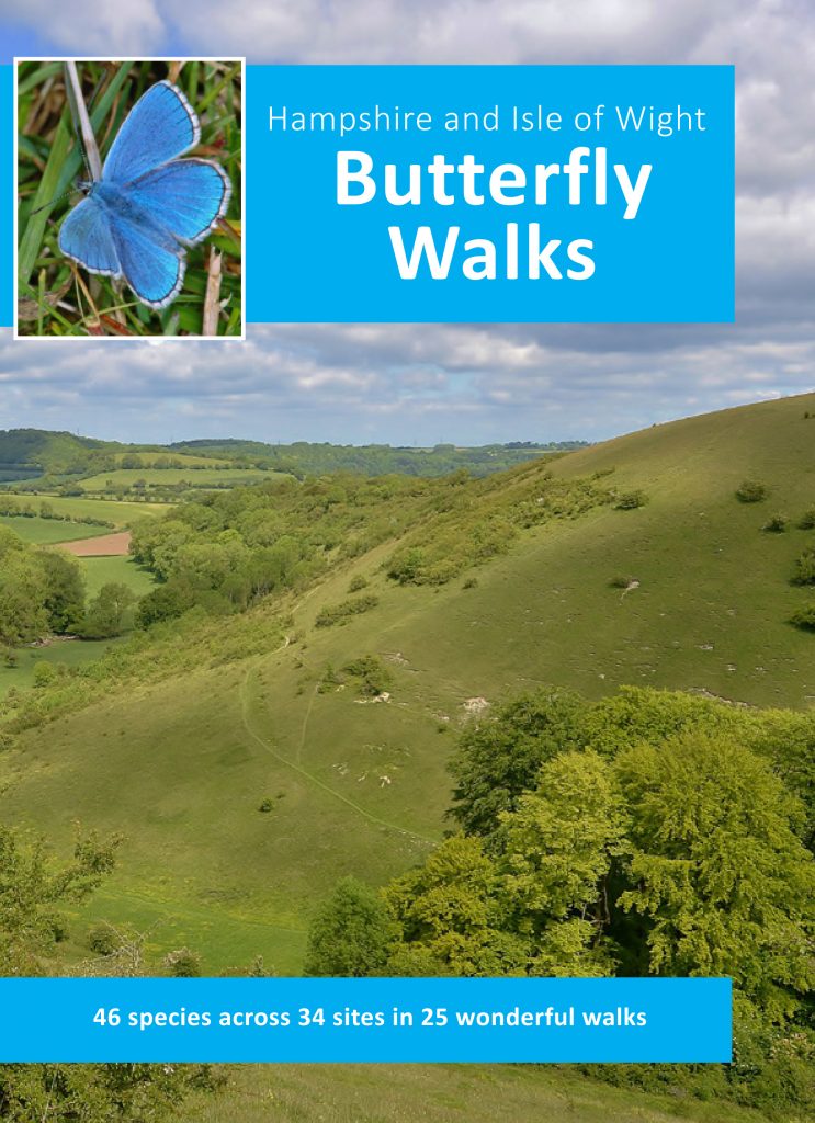 ISLANDERS CAN WALK WITH BUTTERFLIES - Isle of Wight News - Island Echo