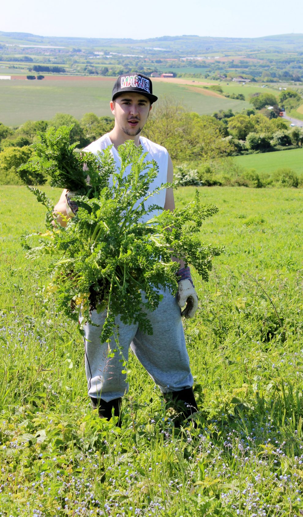 GREEN ARMY GOES WILD ABOUT WIGHT - Isle of Wight News - Island Echo