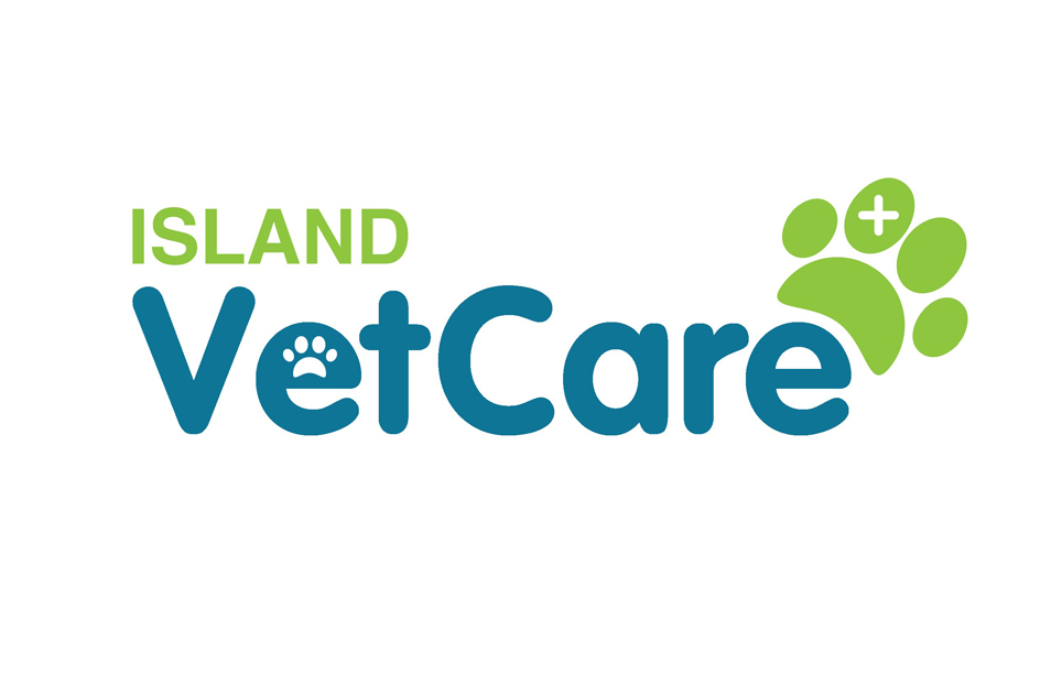 ISLAND VETCARE VETERINARY PRACTICE OPENS IN RYDE - Isle of Wight News ...