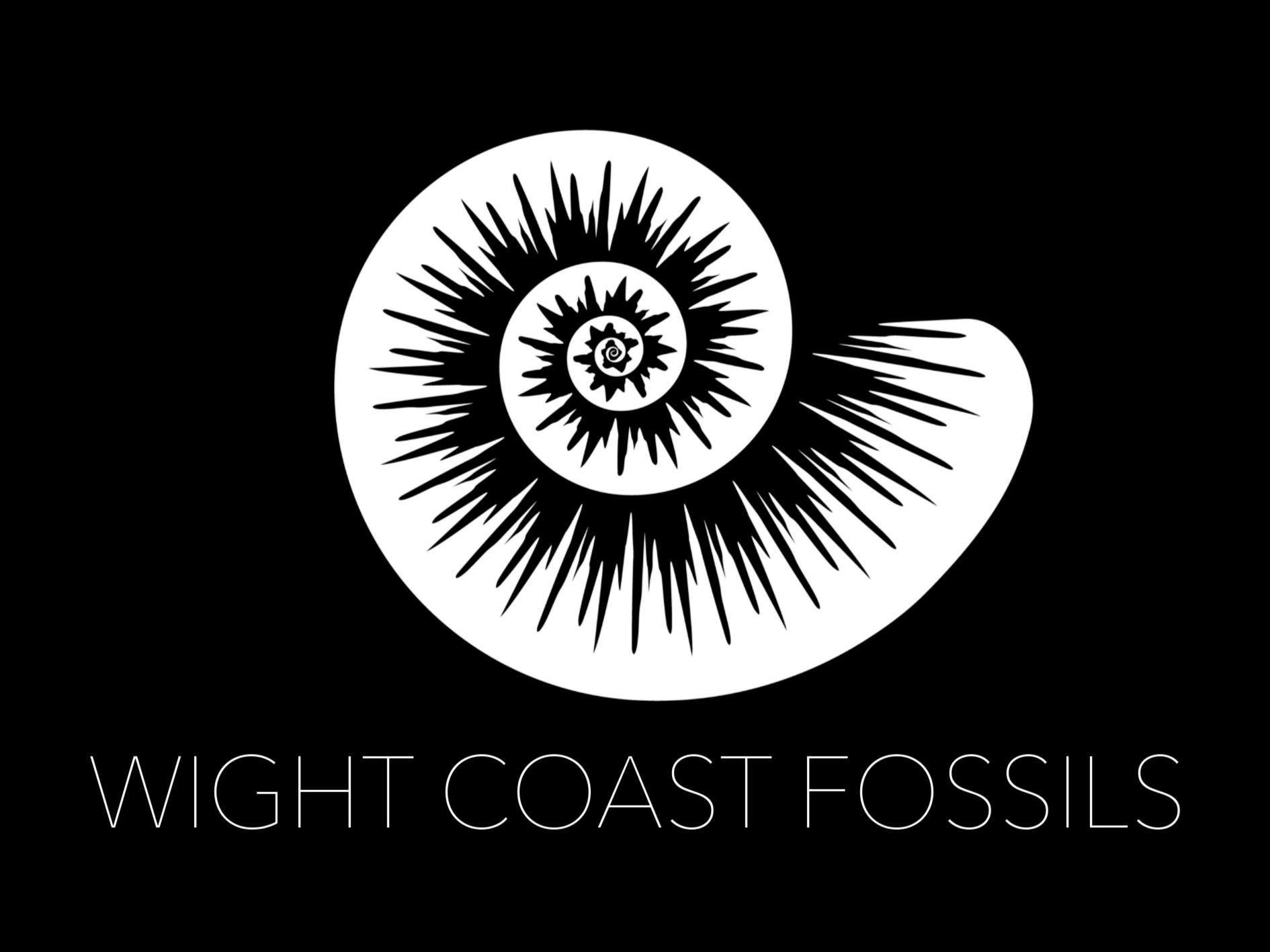 ISLE OF WIGHT TRIO OFFER A STEP BACK IN TIME WITH NEW FOSSIL HUNTING ...