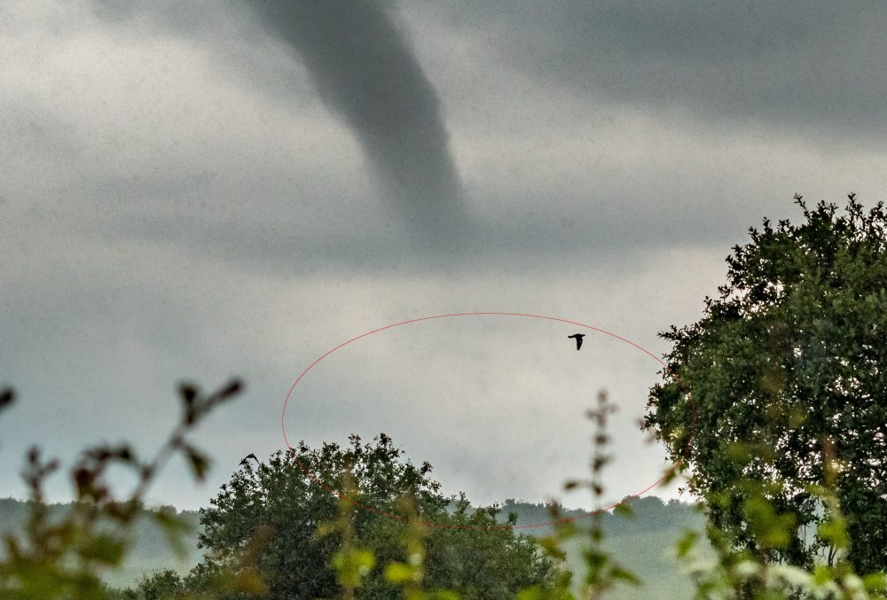 TORNADO SPOTTED ON THE ISLE OF WIGHT 🌪️ - Isle of Wight News - Island Echo