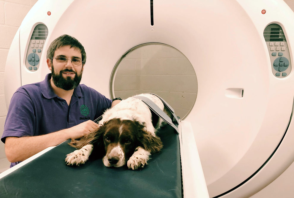 THE MOBILE VET ESTABLISH THE ISLAND'S FIRST CT SCANNER FOR PETS ...