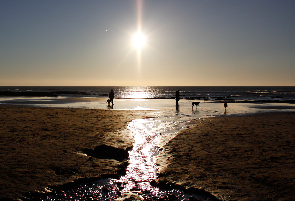 COMPTON BAY NAMED IN TOP 10 BEACHES FOR A CHRISTMAS STROLL - Island ...