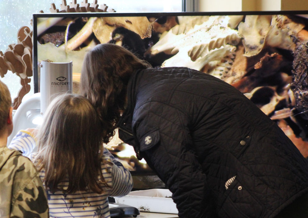 EXPLORE THE WORLD OF NATURAL SCIENCE WITH DISCOVERY BAY 2020 - Island ...