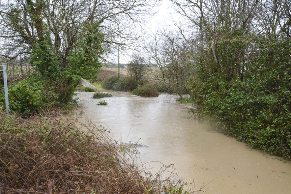 FLOOD ALERTS ISSUED FOR THE EASTERN YAR AND LUKELY BROOK - Island Echo ...