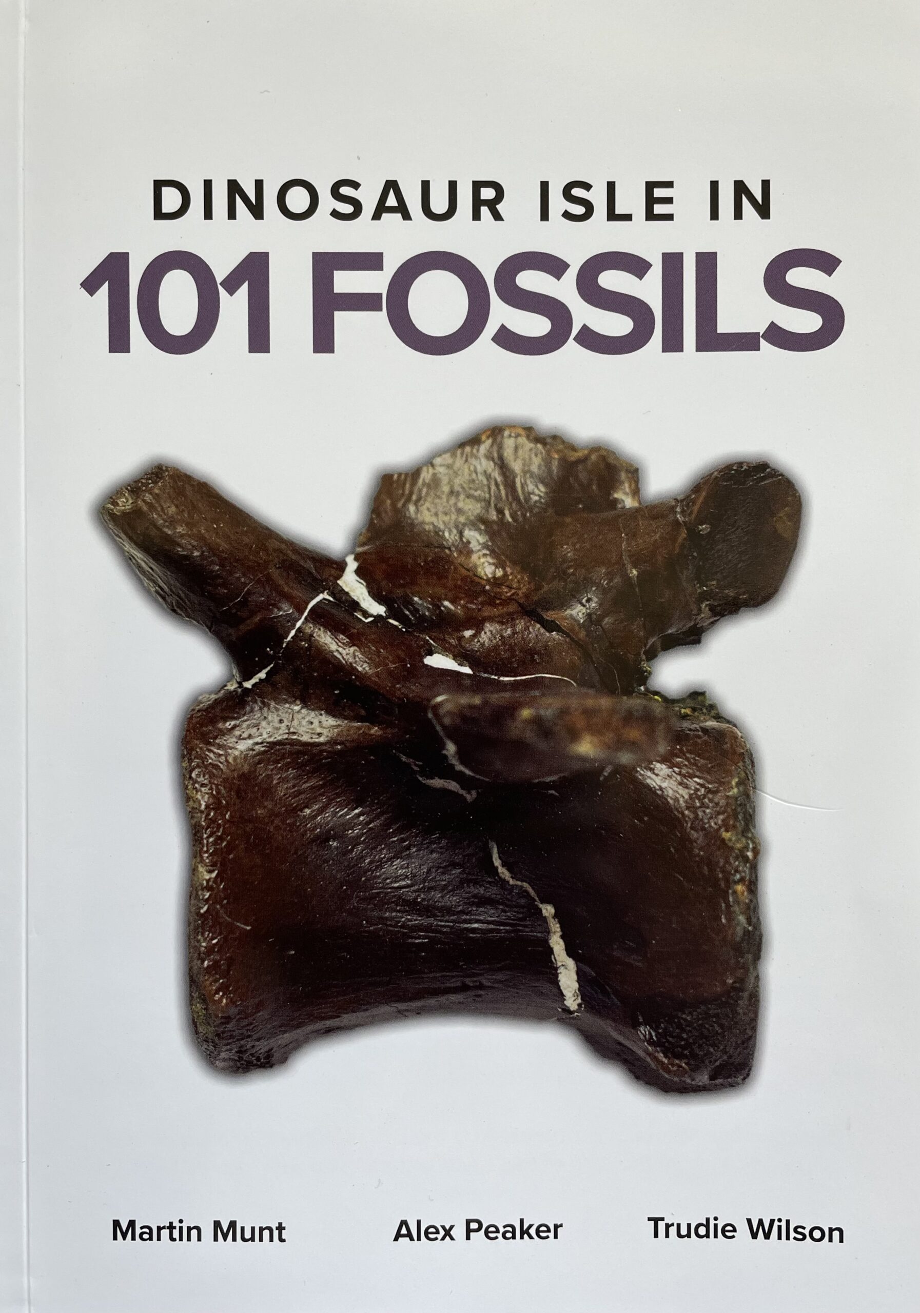 NEW GUIDEBOOK TO DINOSAUR ISLE MUSEUM AND ISLE OF WIGHT FOSSILS ...