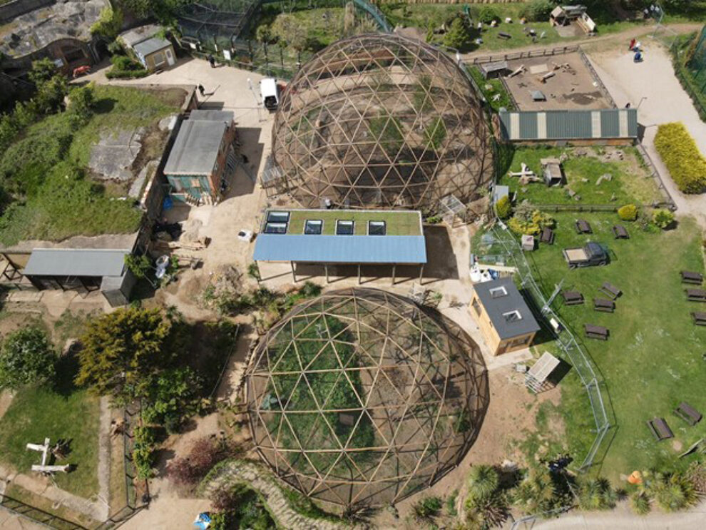 WILDHEART PLANS GLAMPING GROUND BEHIND ANIMAL SANCTUARY IN SANDOWN ...