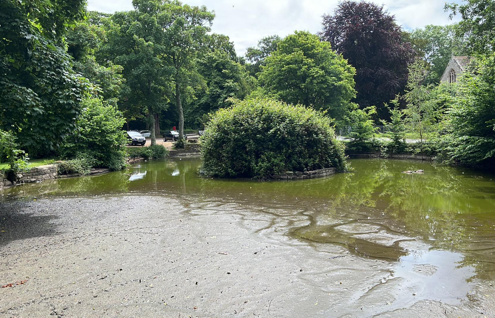BIG MEAD POND AT RISK OF EXTINCTION AS PIPEWORK ISSUES CAUSE MAJOR ...
