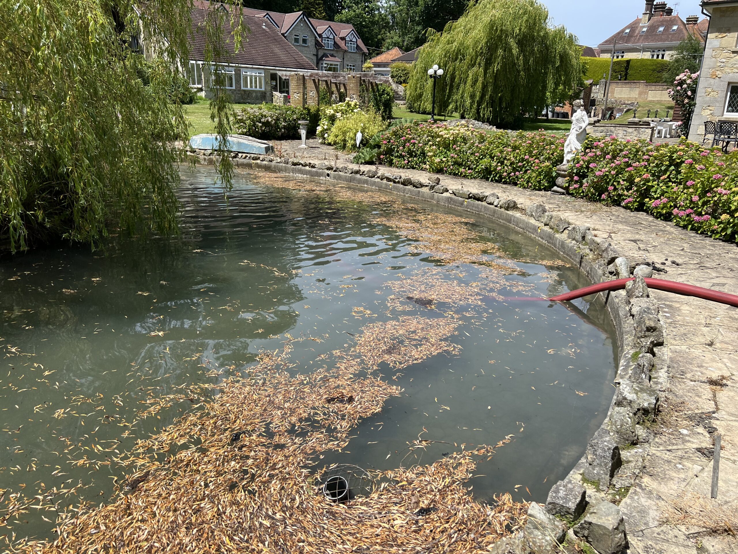 FISH AT BIG MEAD POND SAVED FOR NOW AS WORK TO FIX ISSUES GETS UNDERWAY ...