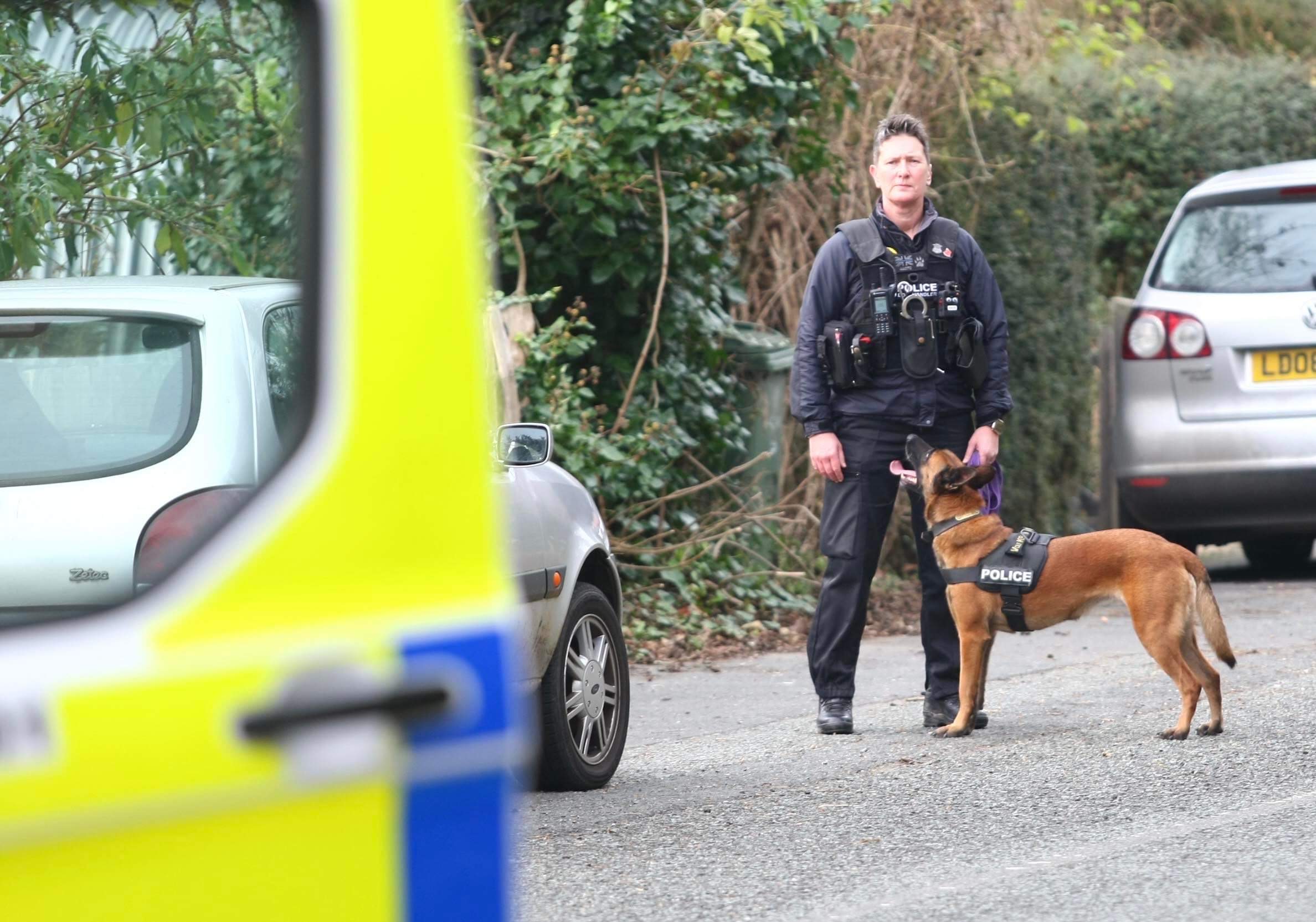 POLICE DOG AND HANDLER RETIRE FROM DUTY WITH HAMPSHIRE CONSTABULARY ...