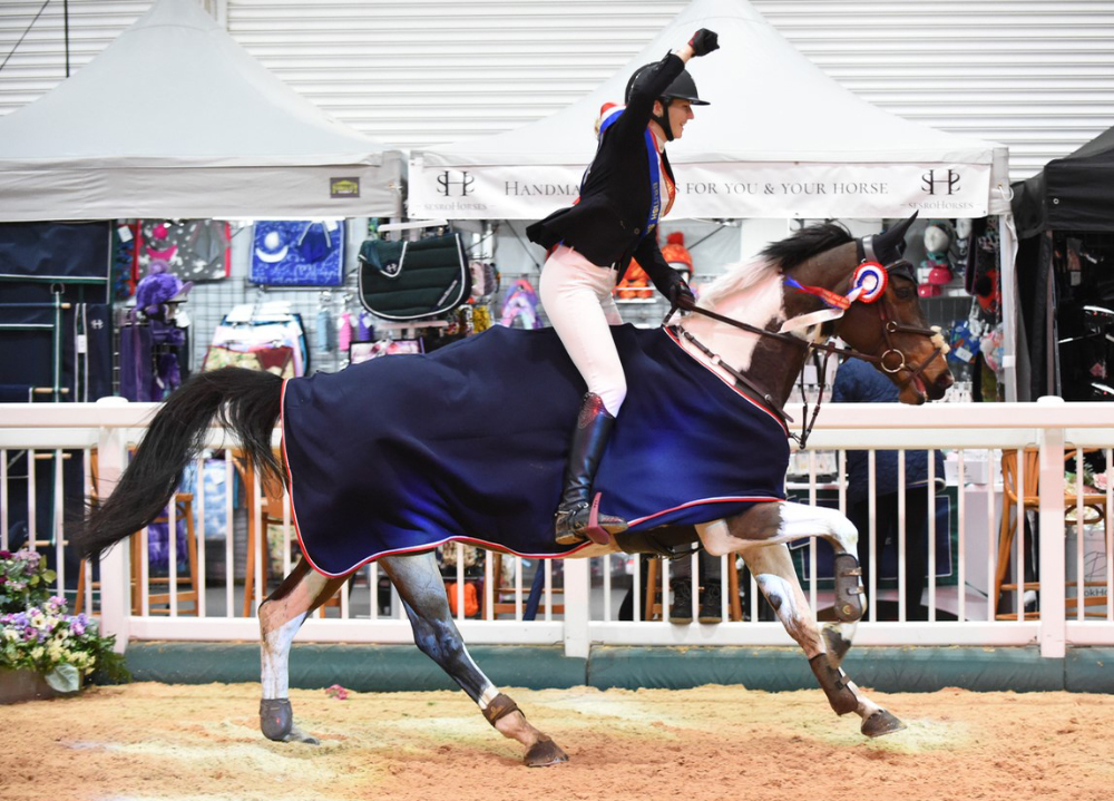 KELLY COMMANDS VICTORY AT BRITISH SHOWJUMPING CHAMPIONSHIPS Island kelly-commands-victory-at-british-showjumping-championships-island