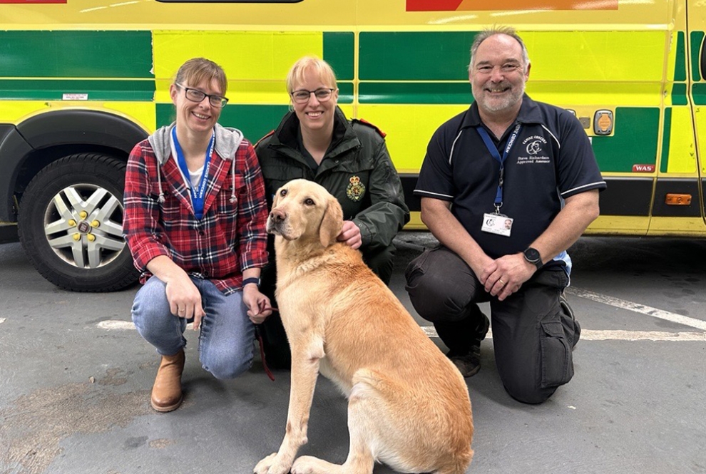 AMBULANCE CARE DOG TEAM NOMINATED FOR HSJ PATIENT SAFETY AWARD - Island ...