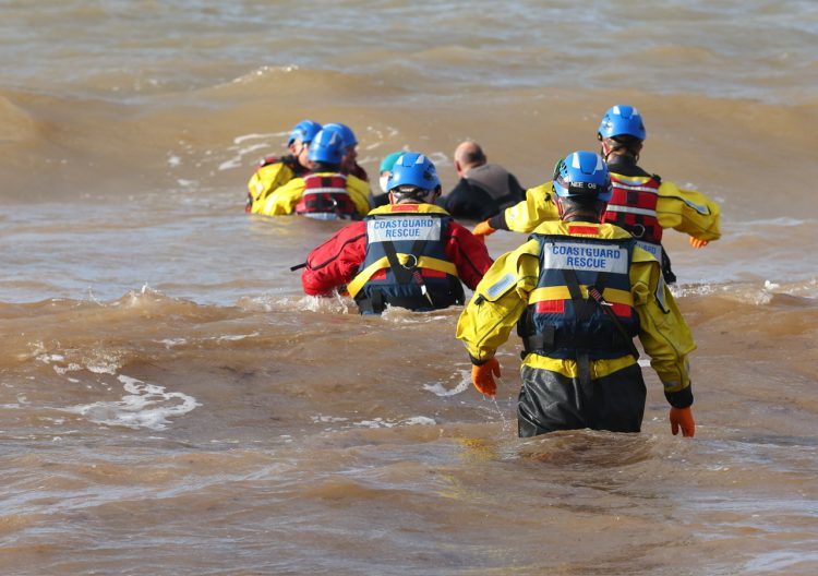 STRANDED WHALE SPARKS URGENT RESCUE EFFORTS AT BROOK - Isle of Wight ...