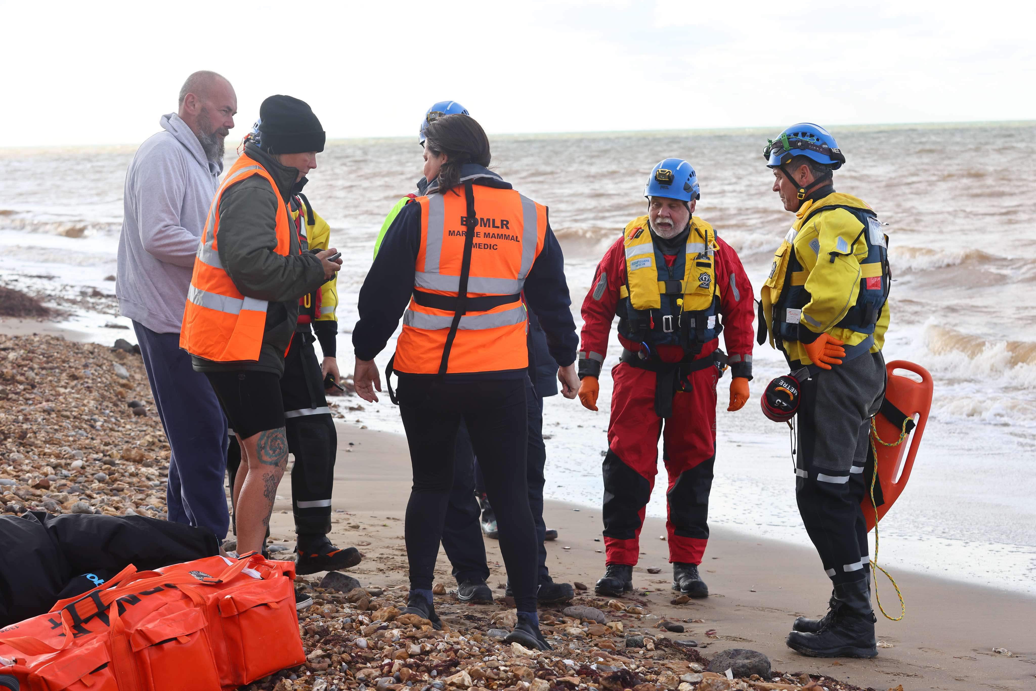 STRANDED WHALE SPARKS URGENT RESCUE EFFORTS AT BROOK - Isle of Wight ...
