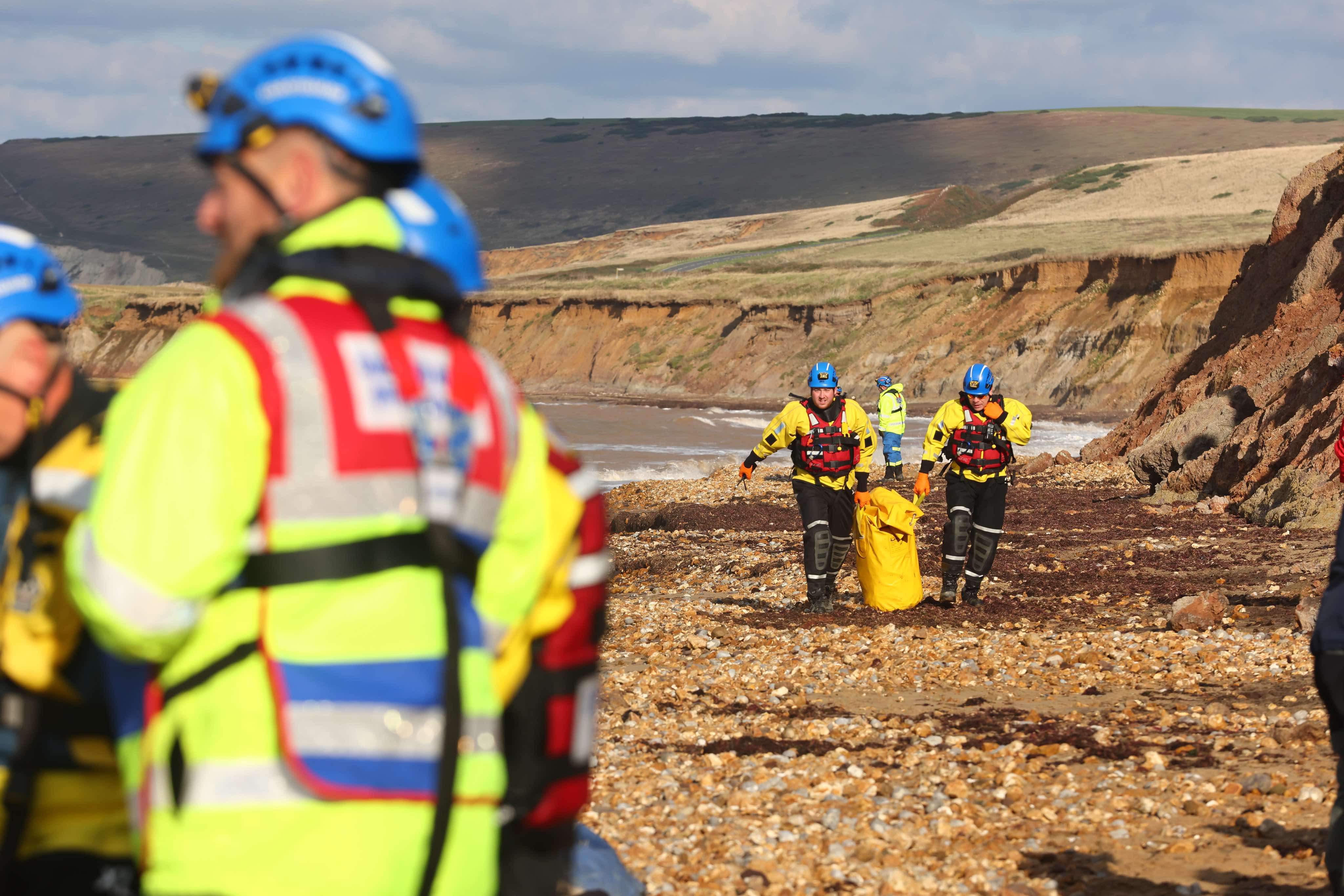 STRANDED WHALE SPARKS URGENT RESCUE EFFORTS AT BROOK - Isle of Wight ...