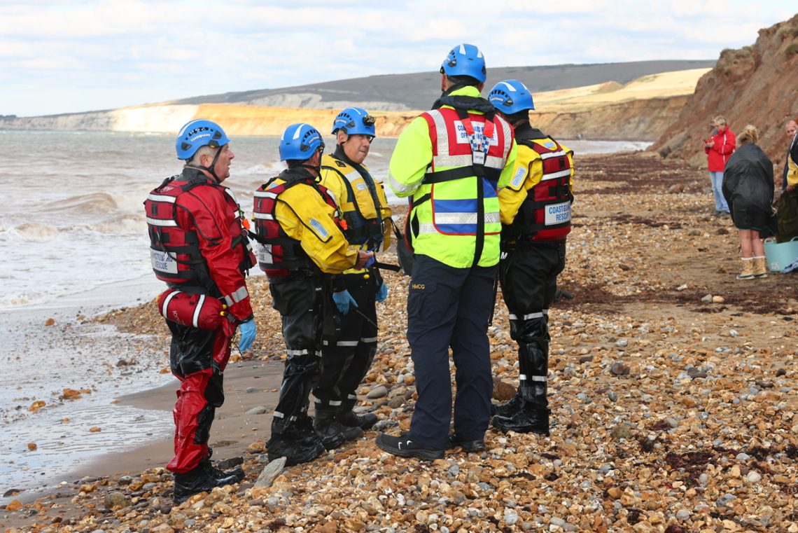 STRANDED WHALE SPARKS URGENT RESCUE EFFORTS AT BROOK - Isle of Wight ...