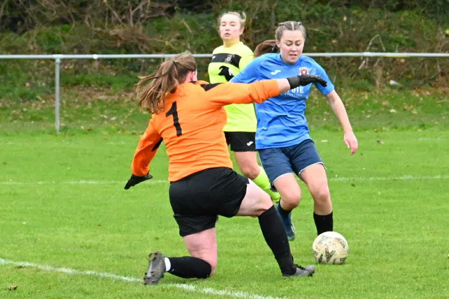 SHANKLIN LADIES IN SEVENTH HEAVEN AS THEY TOP HAMPSHIRE DIVISION 1 ...