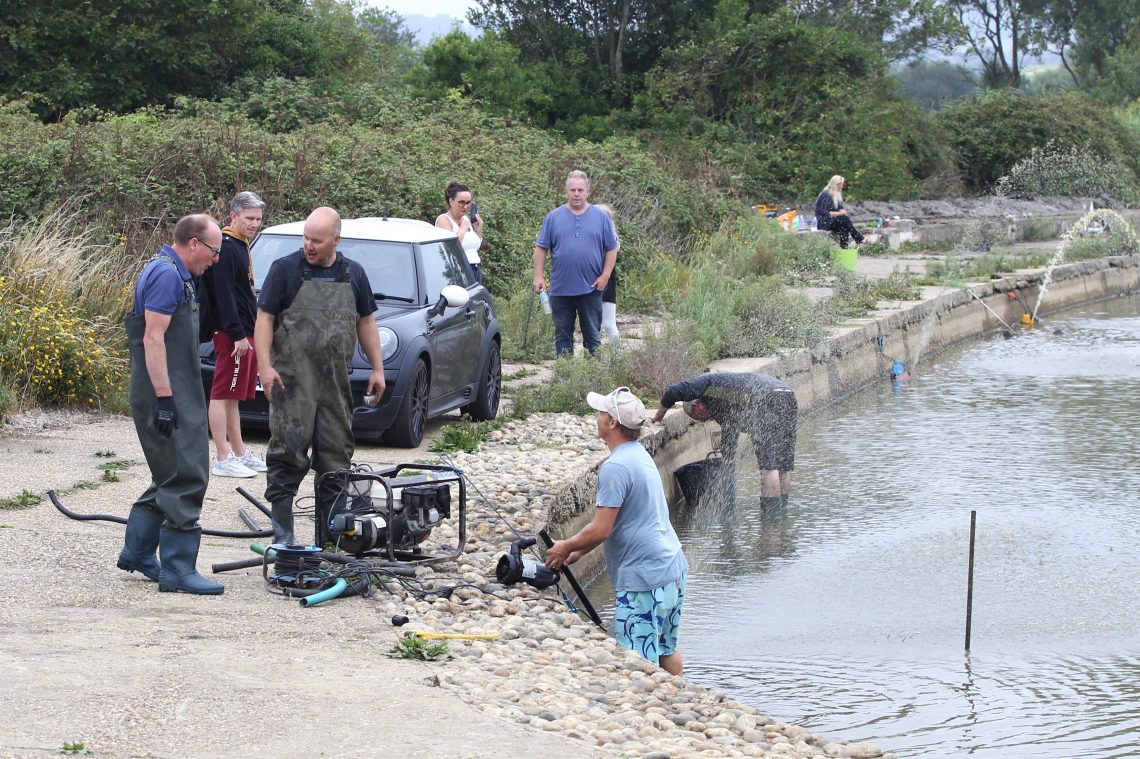 COMMUNITY RALLIES AS EFFORT TO SAVE WILDLIFE AT SANDOWN CANOE LAKE ...