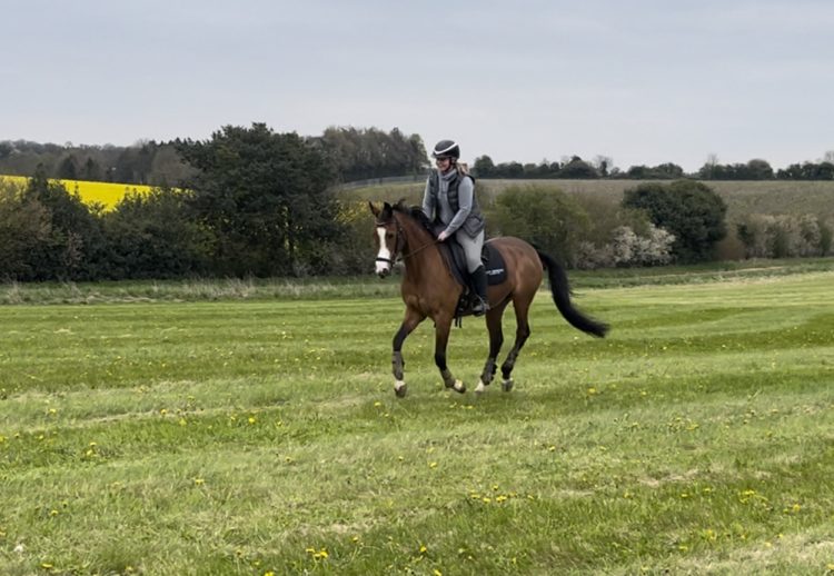 ISLE OF WIGHT'S LAUREN DAY SECURES COVETED IRISH THOROUGHBRED ...